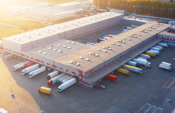 Professional services - Products & services | BT Wholesale